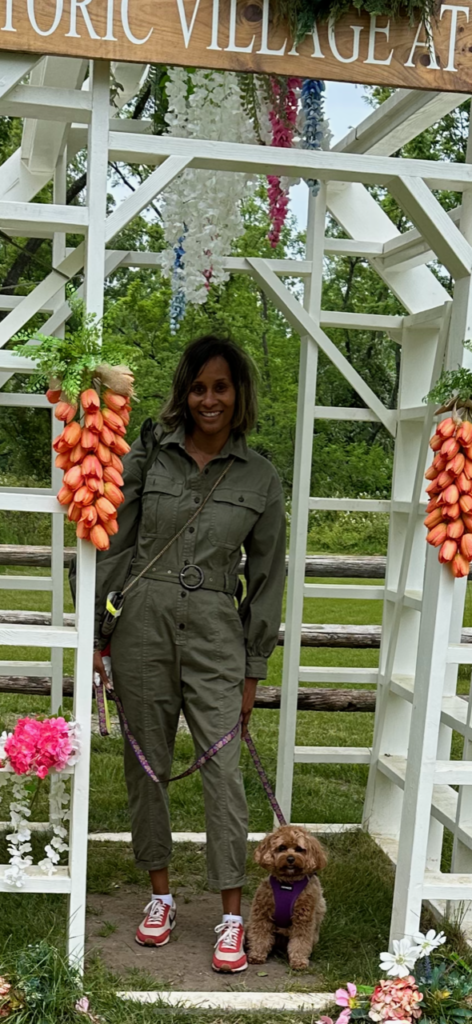 Adoption & Birth Parent Services - CHSNJ