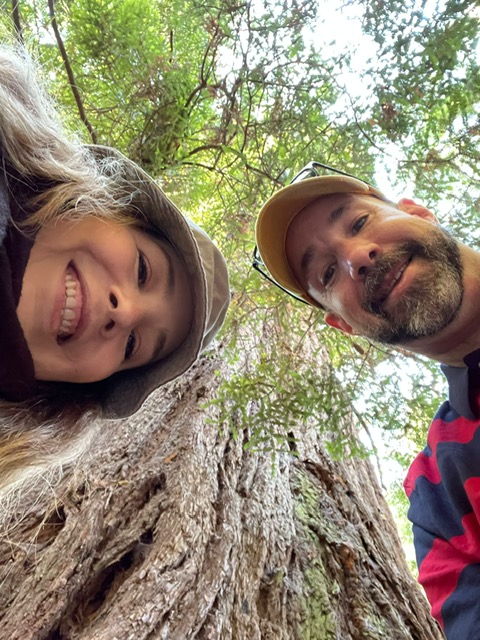 Adoption & Birth Parent Services - CHSNJ